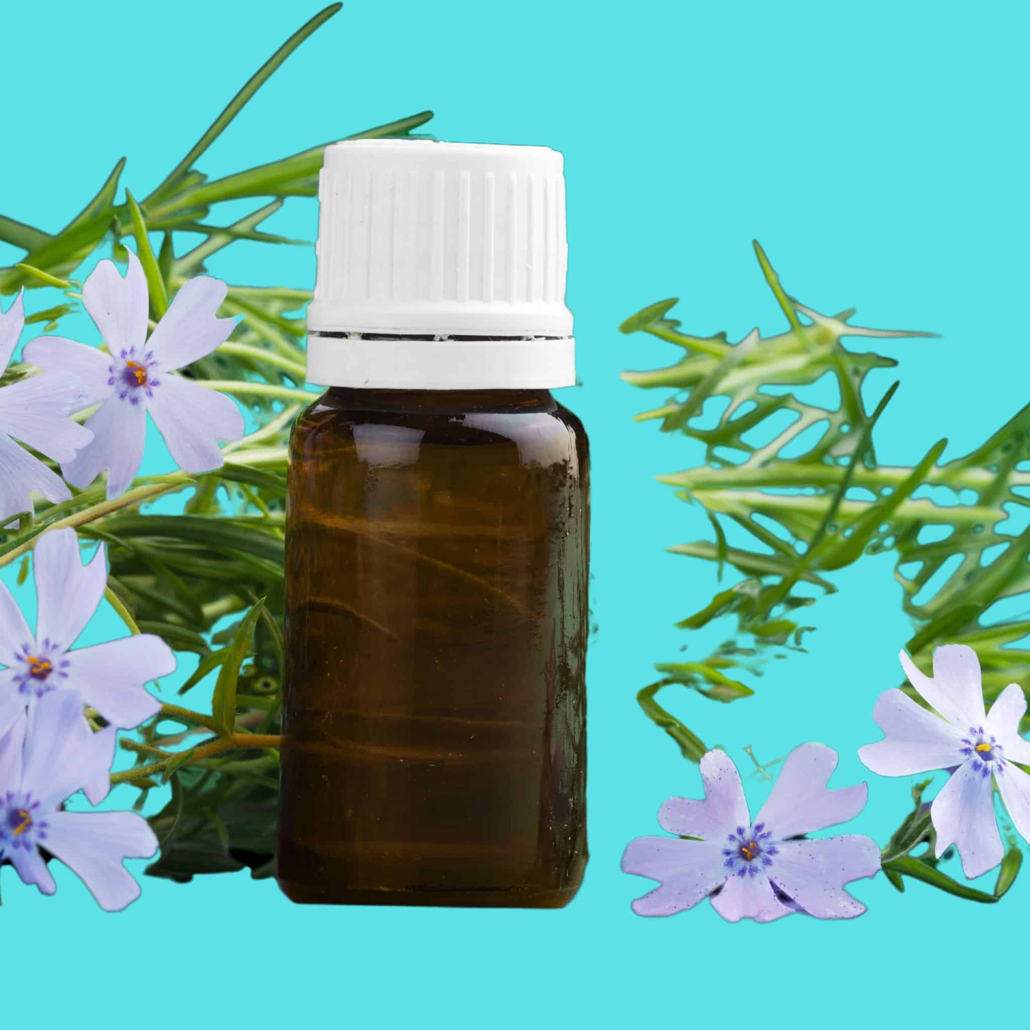 Discover effective traditional African healing practices.