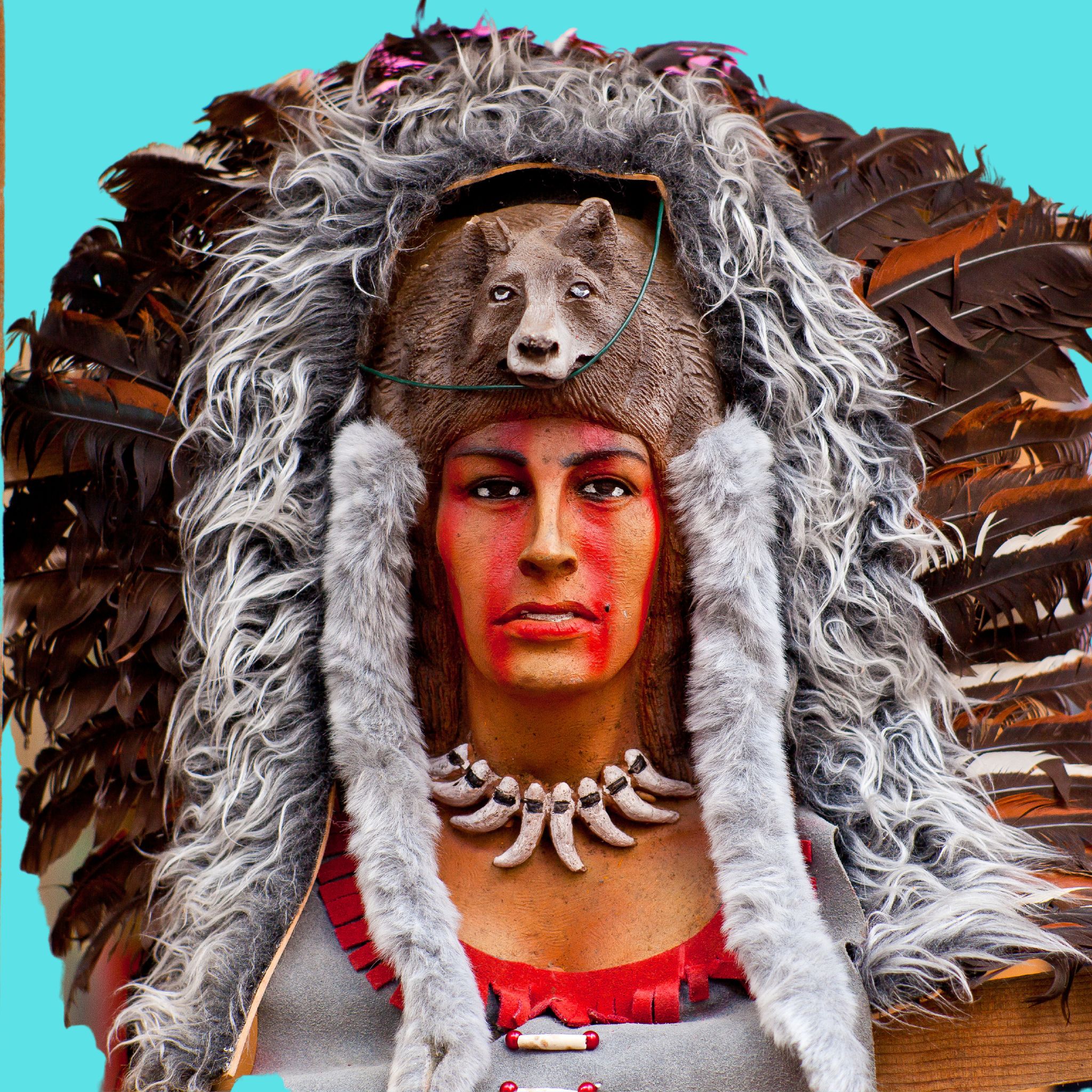 Discover native healers and the power of plant medicine.